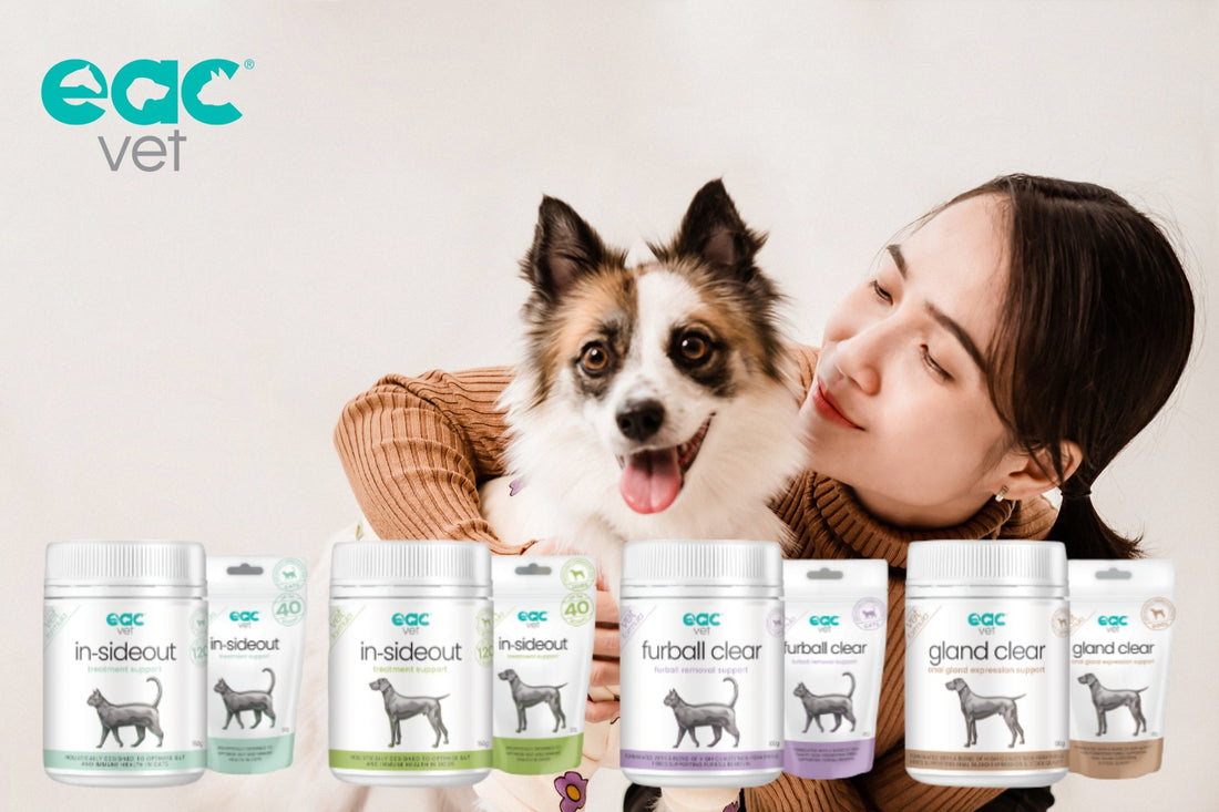 How MSM Supplements Can Benefit Your Horse – EAC Animal Care