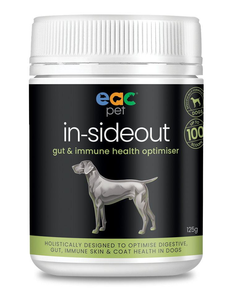 Probiotics For Dogs & Cats - Pet Care Supplements - Natural Holistic ...