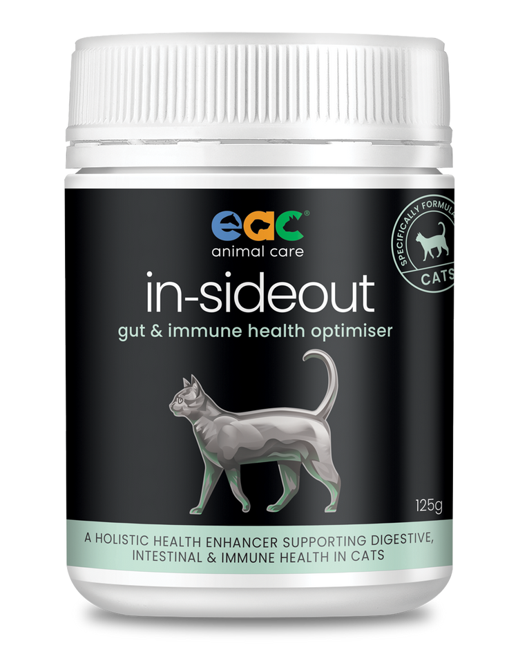 Probiotics For Dogs & Cats - Pet Care Supplements - Natural Holistic ...